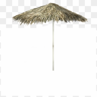 Palapa Png, Transparent Png - 600x597(#5366677) - PngFind