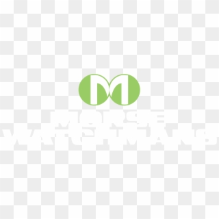 375 - Greenfly Logo, HD Png Download - 2362x709(#3630001) - PngFind